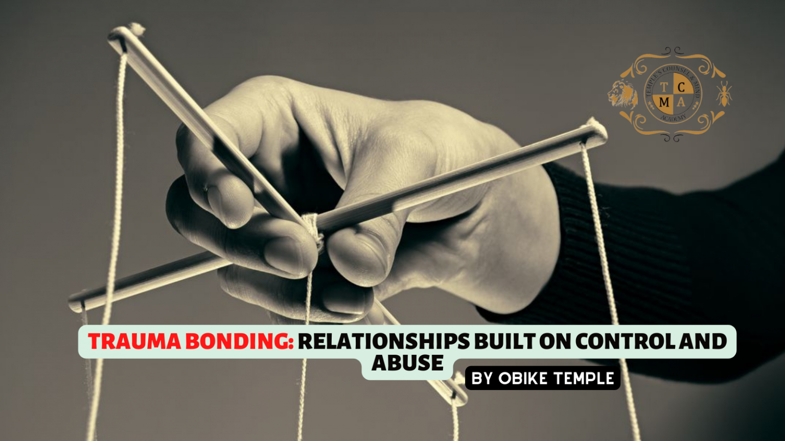 Trauma Bonding, Relationships Built on Control & Abuse - Antvt.com