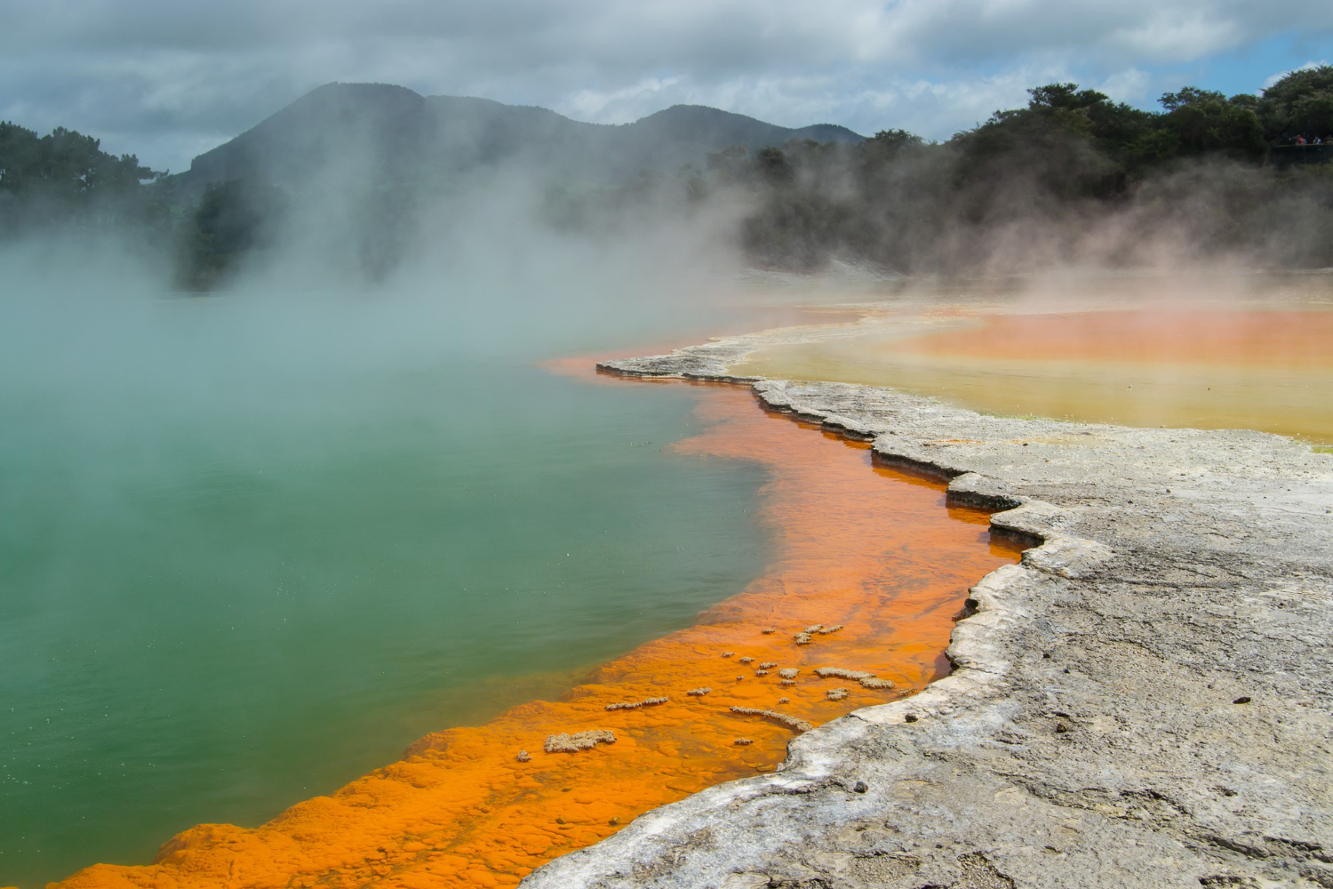Amazing Natural Phenomena Explained - Antvt.com
